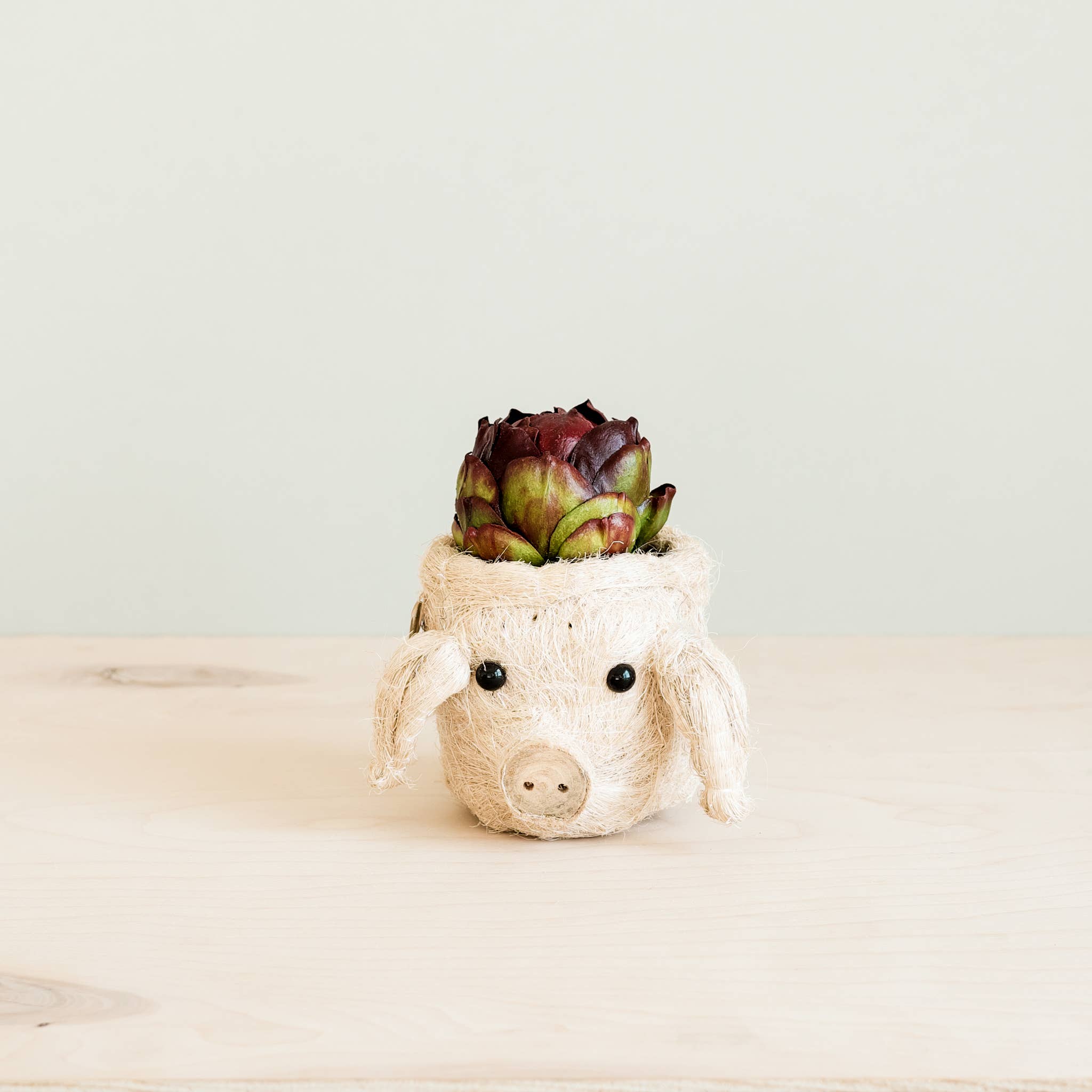 Mini Pot Pig Animal Planter | WYATT MOON MERCANTILE
